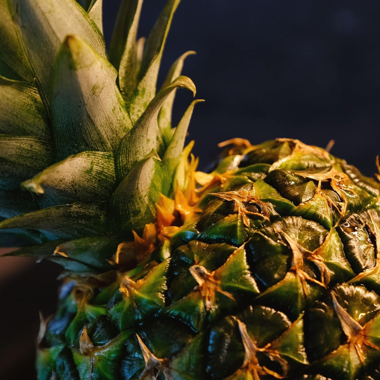 Pineapple Seed Oil: A Slice of Tropical Magic